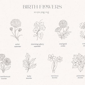Birth Flowers Clipart, Watercolor, Line Floral Plants, Carnation, Rose ...