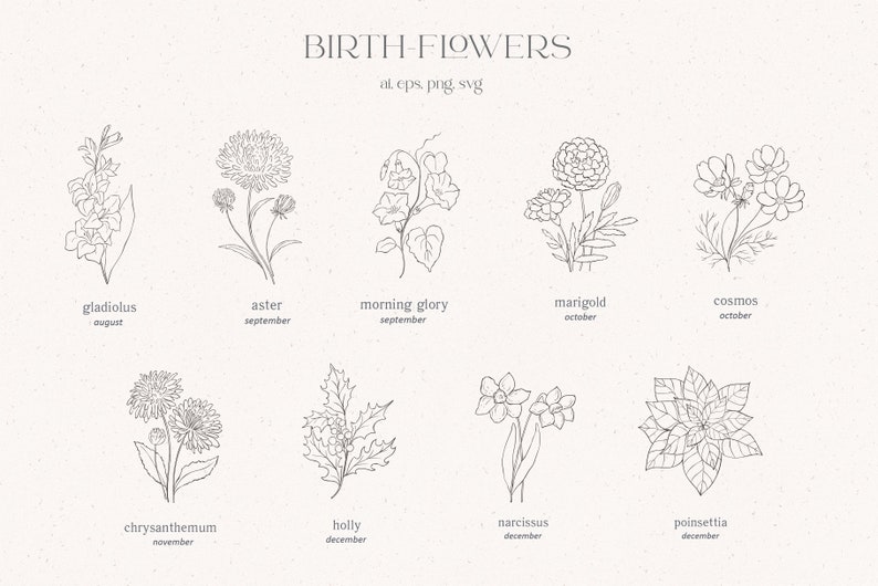 Birth Flowers Clipart, Watercolor, Line Floral Plants, Carnation, Rose ...
