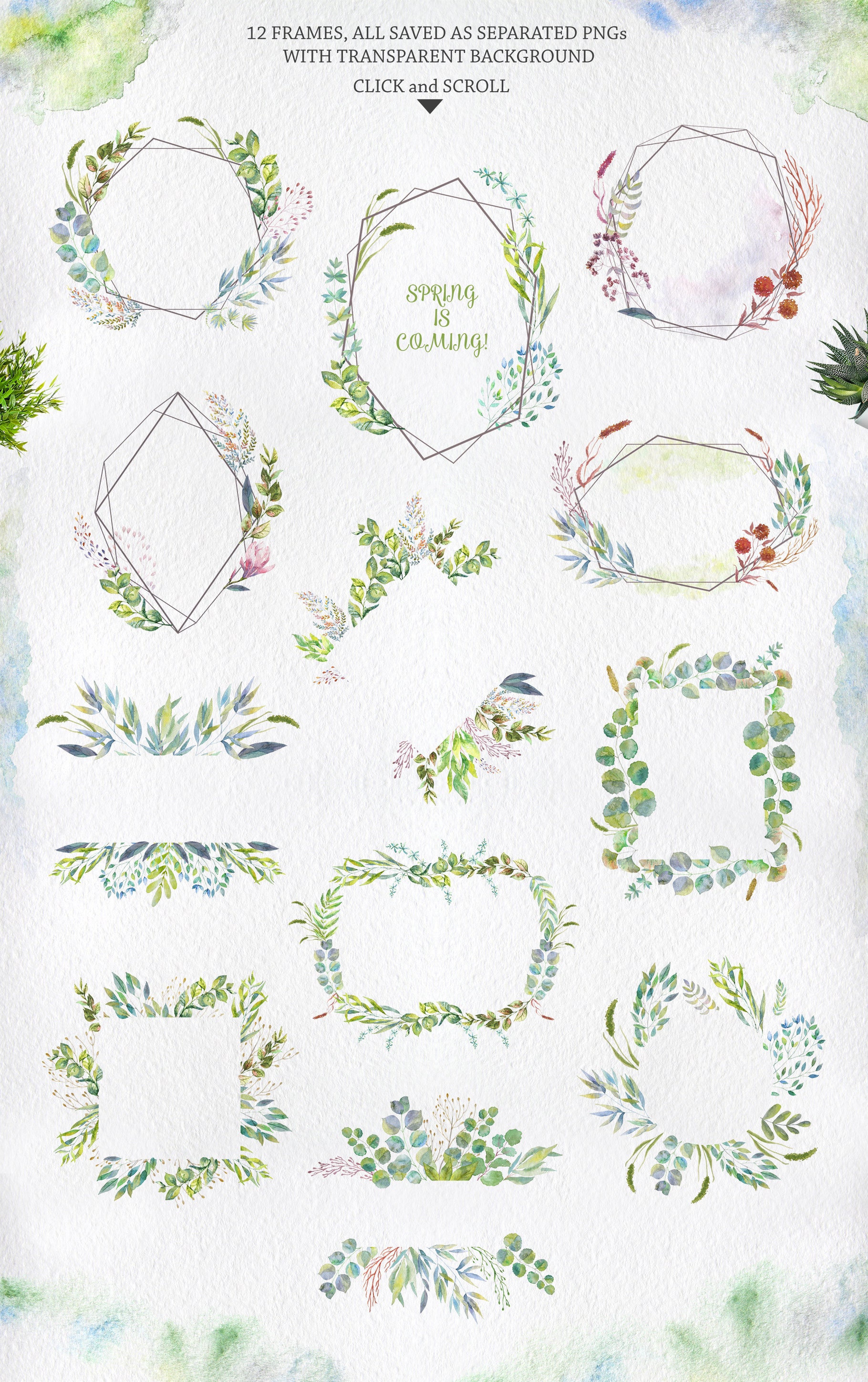 Watercolor Floral Clip Art Collection Geometric Frames Flowers - Etsy