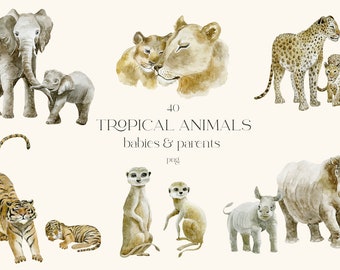 Africa Animals Clipart Safari Giraffe Tiger Lion Elephant | Etsy