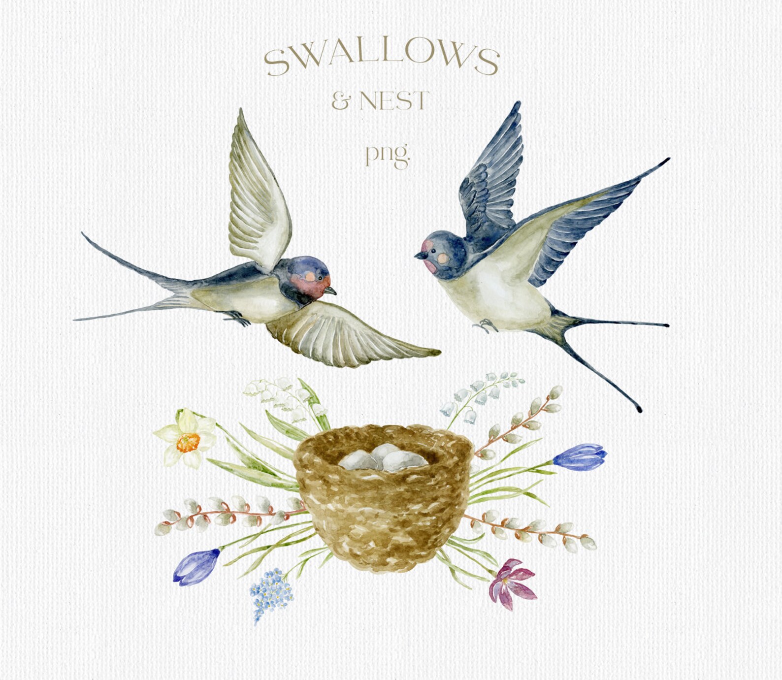 Swallows Birds Clipart Nest Watercolor Animal Eggs - Etsy