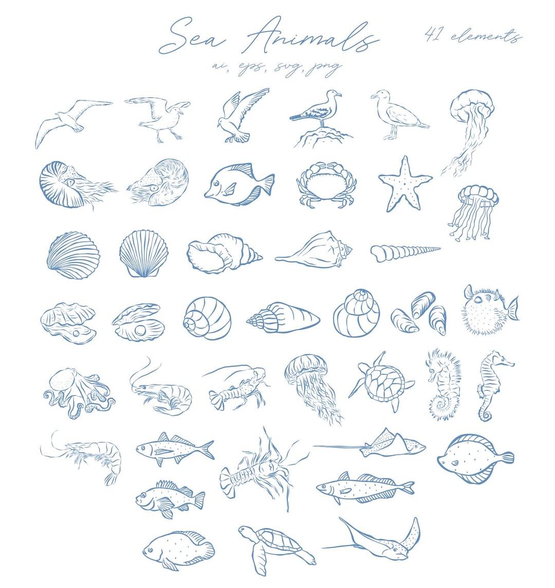 Sealife Clipart, Underwater, Marine, Sea Animals, Doodles, Nautical ...