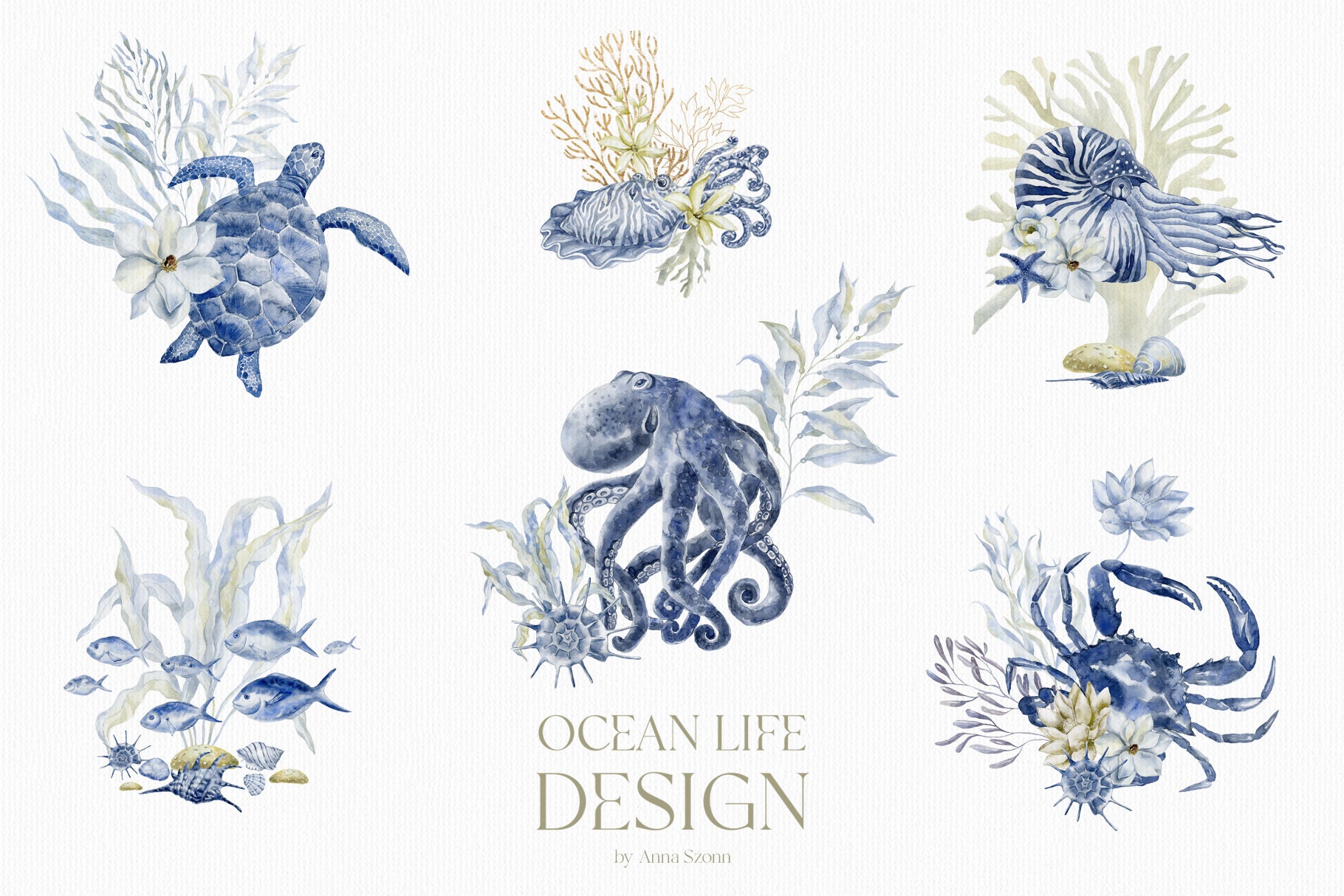 Sealife Clipart Underwater Marine Nautical Frame Sea - Etsy