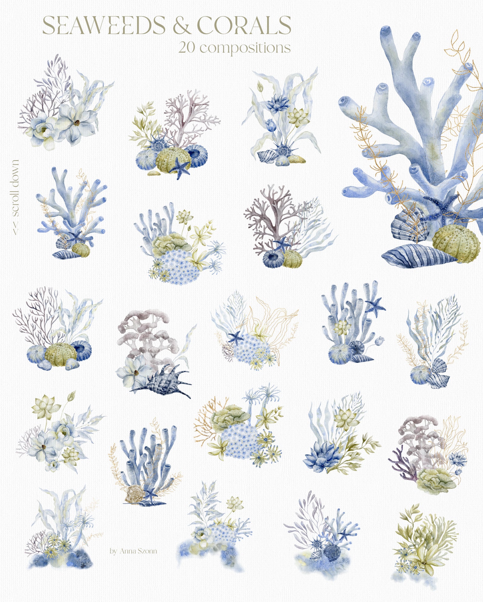 Sealife Clipart Underwater Marine Nautical Frame Sea - Etsy