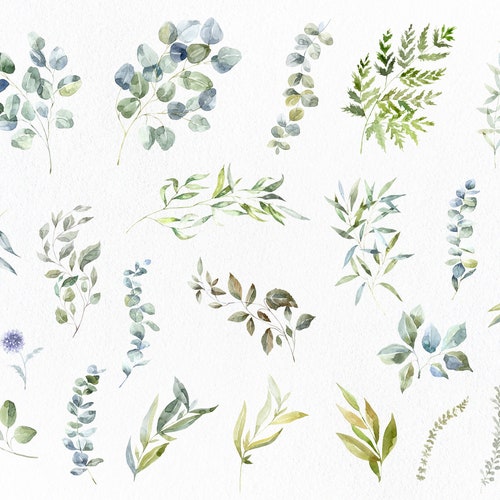 Watercolor Greenery Clipart Eucalyptus Clipart Foliage - Etsy