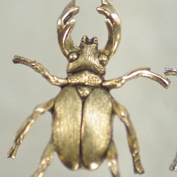 Gold Beetle - Etsy