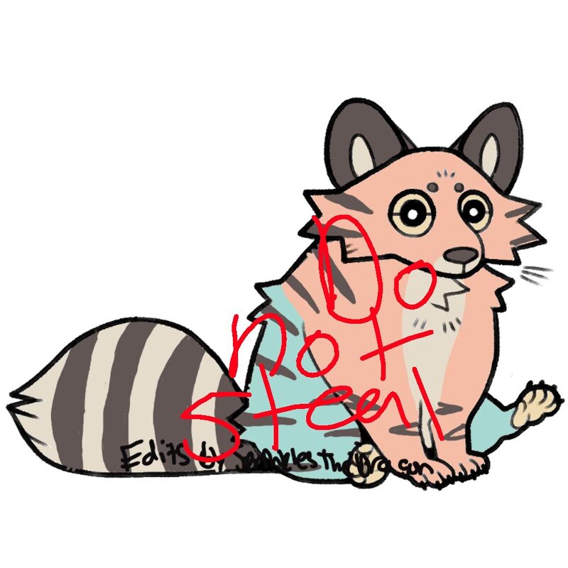 Raccoon Furry Art - Etsy