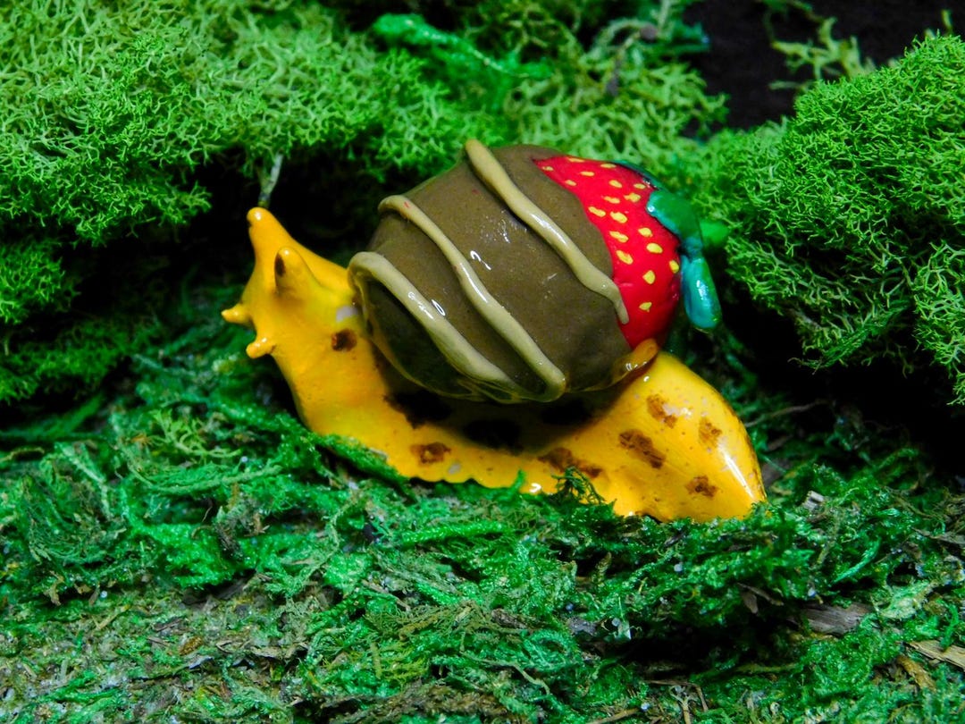 Chocolate Covered Strawberry Slug Trying to Be a Snail Trinket - Etsy