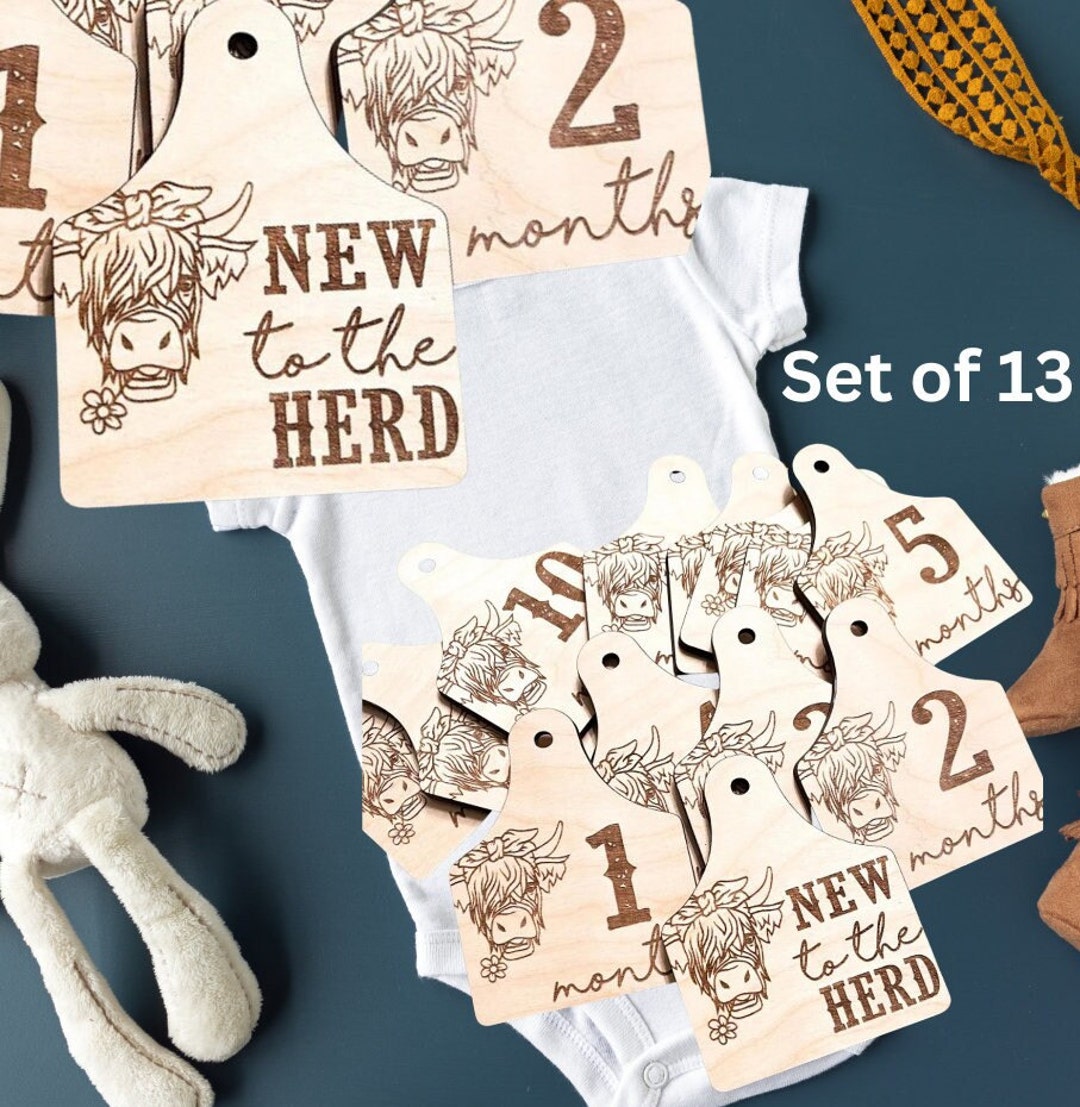 Milestone Tags baby Milestones Wooden monthly Baby Milestones cow Tag ...