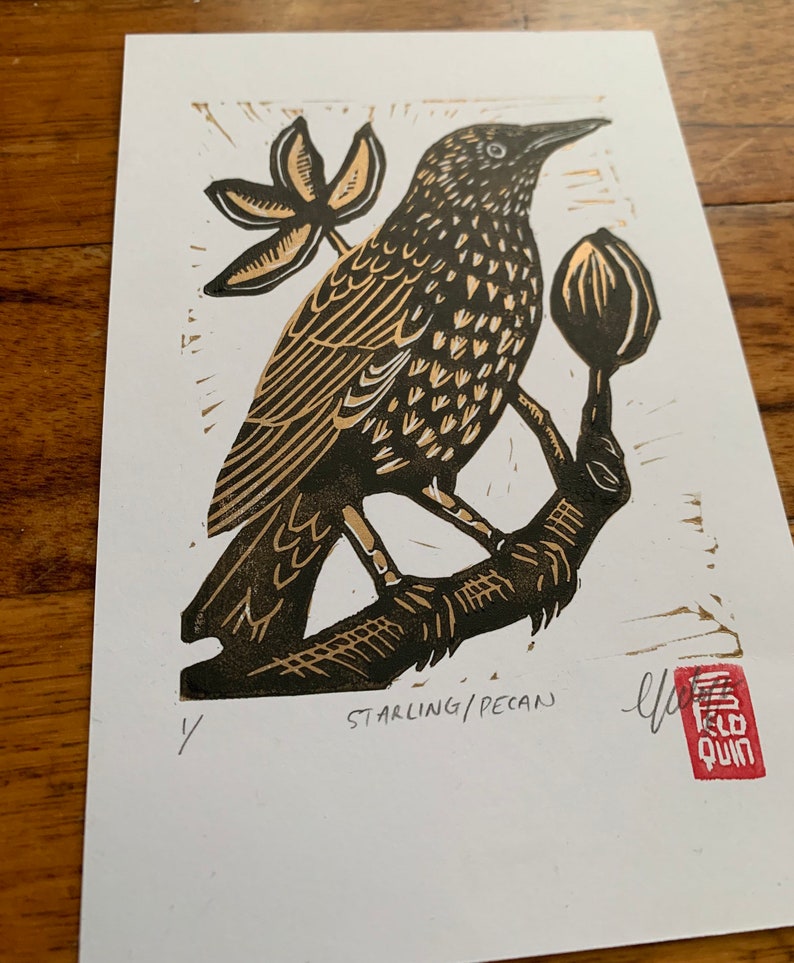 European Starling Pecan Tree Linocut Print Gold Ink - Etsy