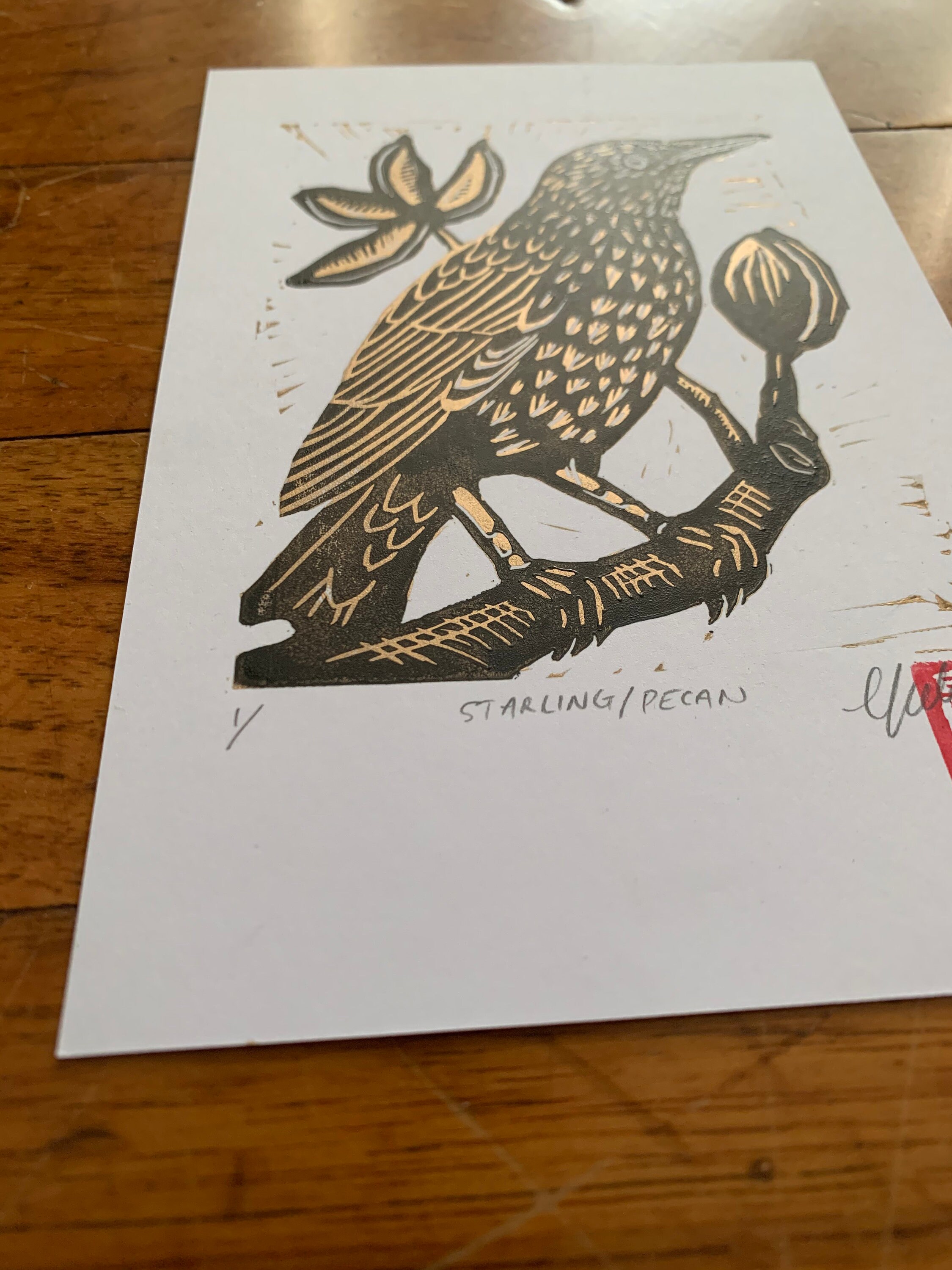 European Starling Pecan Tree Linocut Print Gold Ink - Etsy