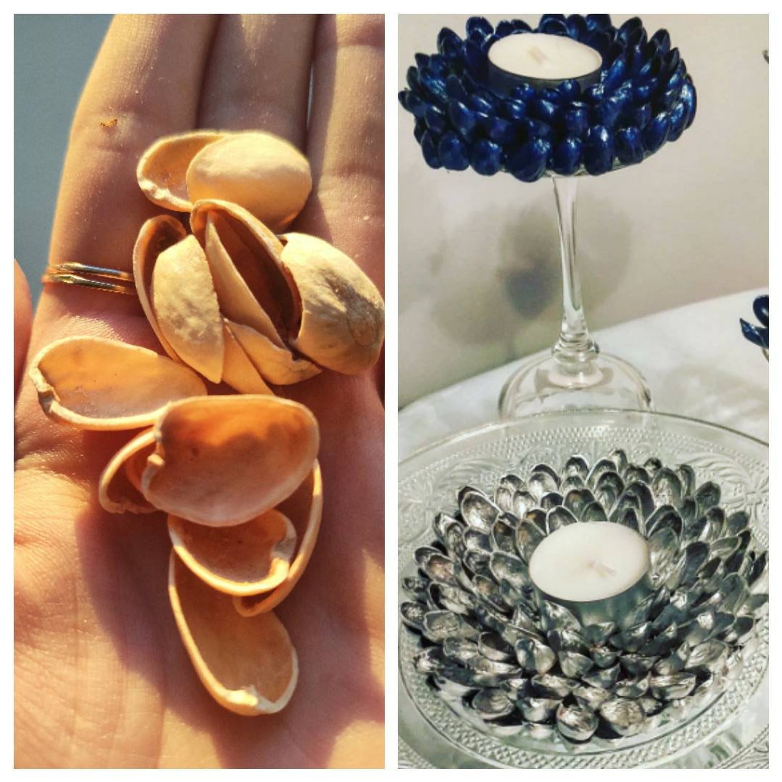 Pistachio Nut Shells Peel, Craft Supplies, Decoration - Etsy