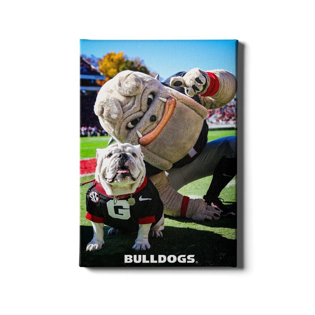 Georgia Bulldogs Football | Hairy the Dawg | Uga Mascot | Sanford ...