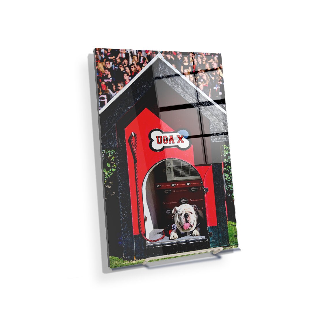Uga X Acrylic Desktop Decor | Georgia Bulldogs Sanford Stadium Art - Etsy