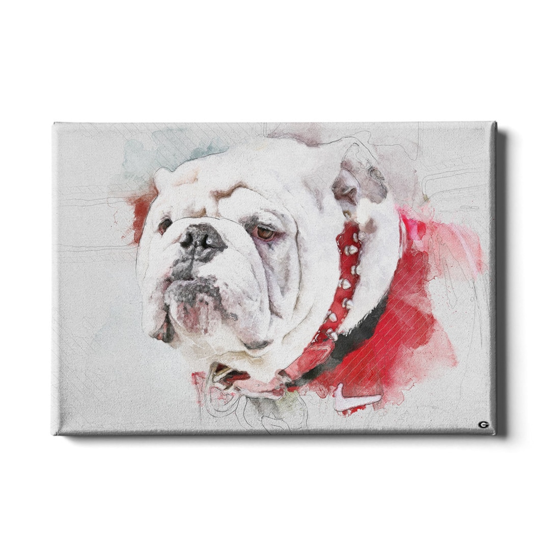 University of Georgia | Georgia Bulldogs | Uga Painting | Watercolor ...