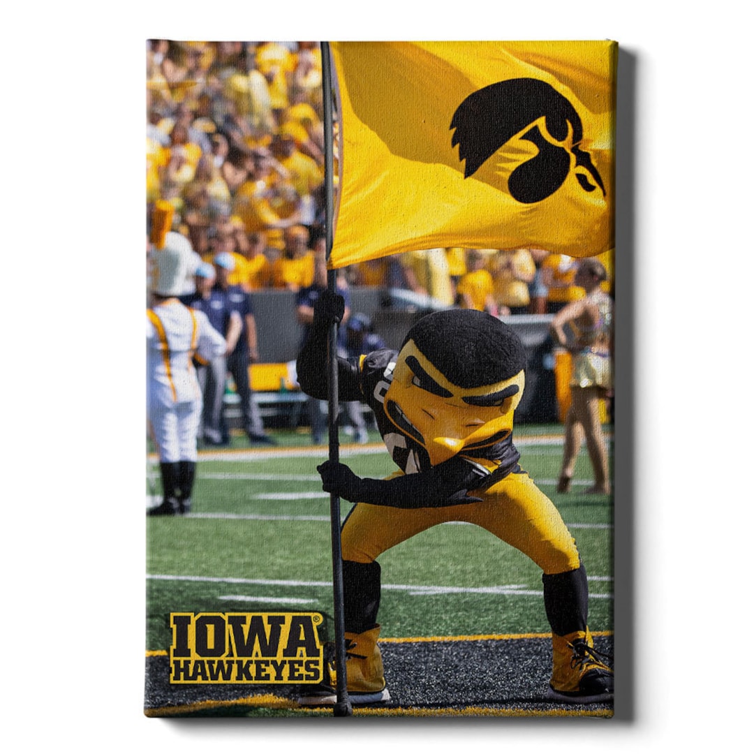 Iowa Hawkeyes Herky Mascot | Kinnick Stadium Art (canvas, Metal ...