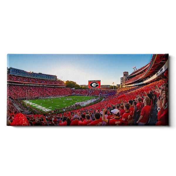 Georgia Bulldogs Stadium Wall Art - Etsy