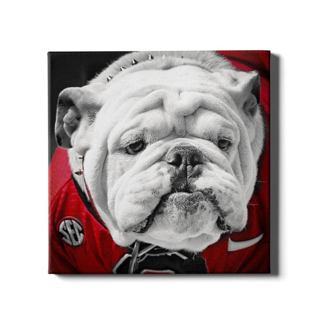 Uga Mascot Canvas Print | Georgia Bulldogs Wall Art - Etsy