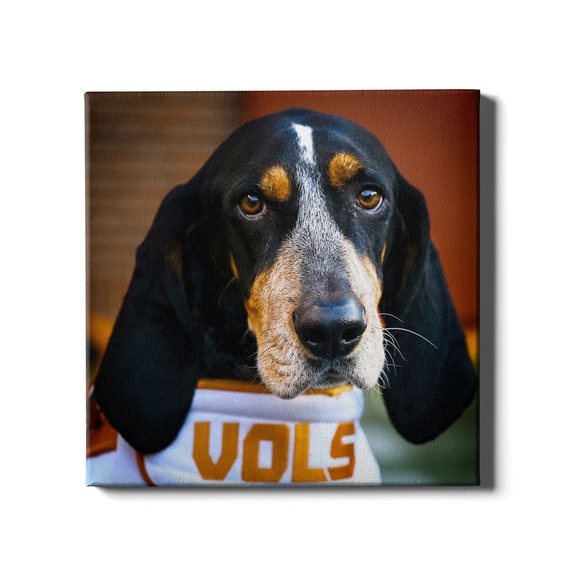 Tennessee Volunteers Smokey Vols Smokey Mascot Smokey | Etsy