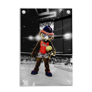 Florida Atlantic University Wall Art | FAU | Final Four | Owlsley ...