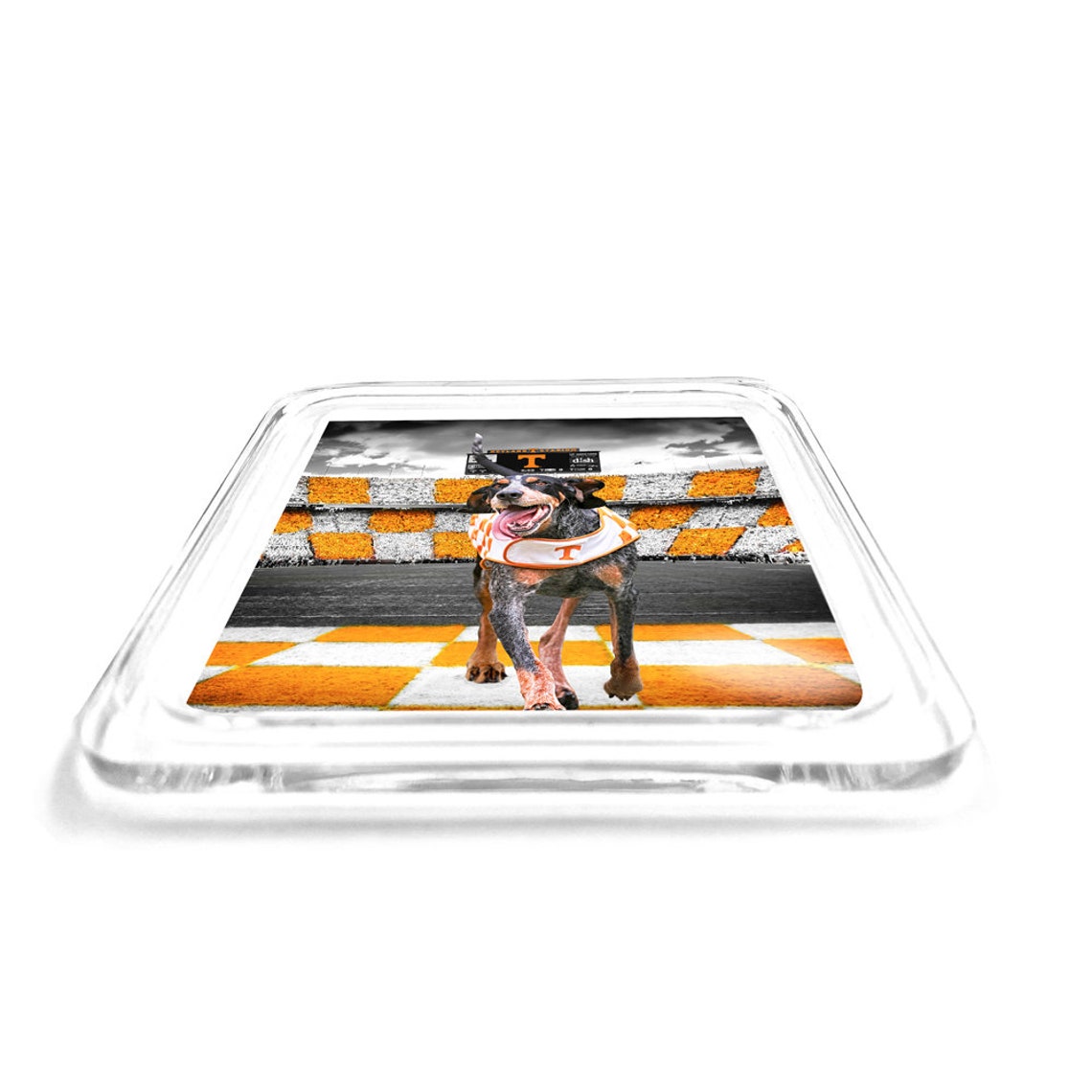 Tennessee Volunteers Checkerboard Neyland Smokey Bar - Etsy