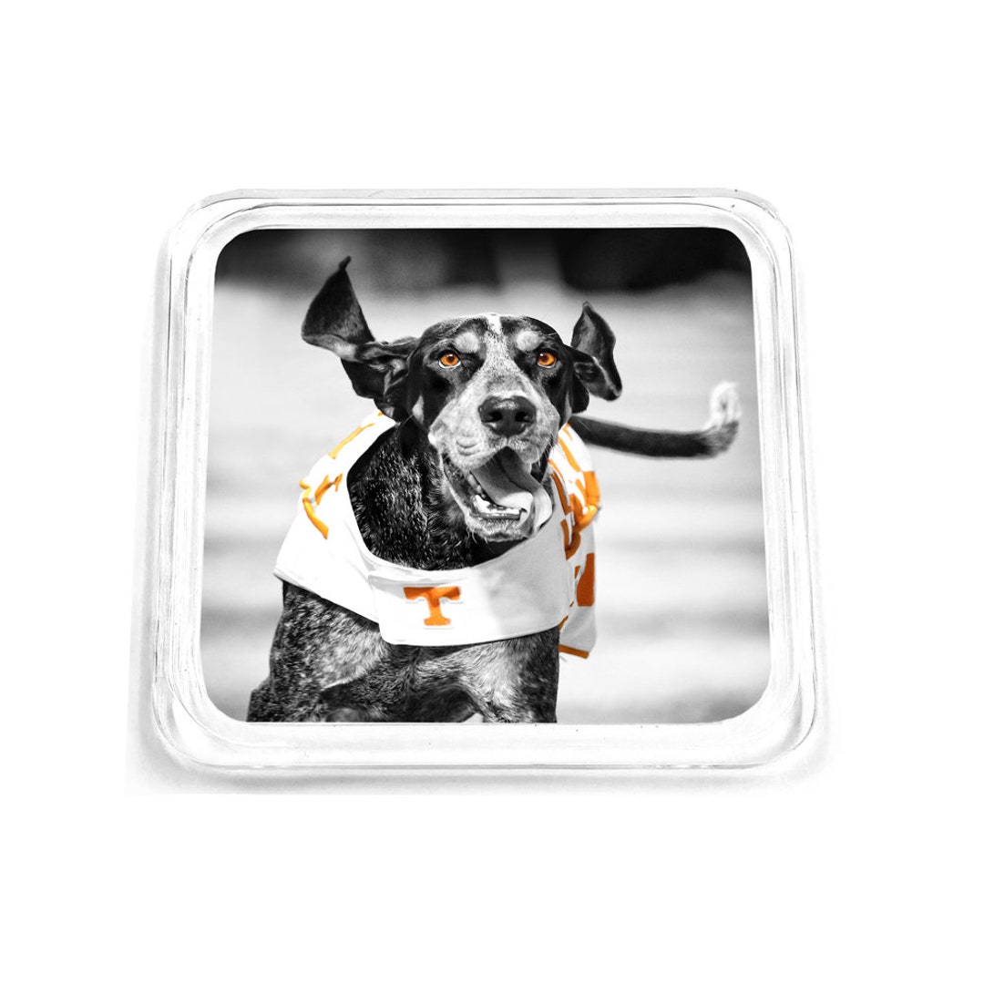 Tennessee Volunteers Smokey Mascot Acrylic Drink Coaster - Etsy