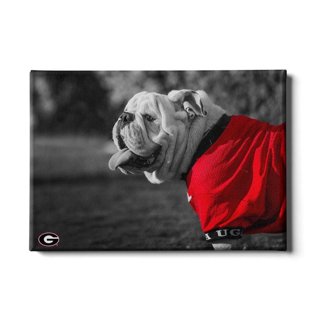 Uga Mascot Canvas Wall Art | Georgia Bulldogs Decor - Etsy