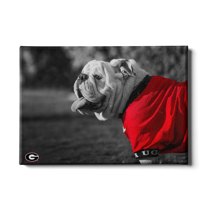 University of Georgia - Etsy