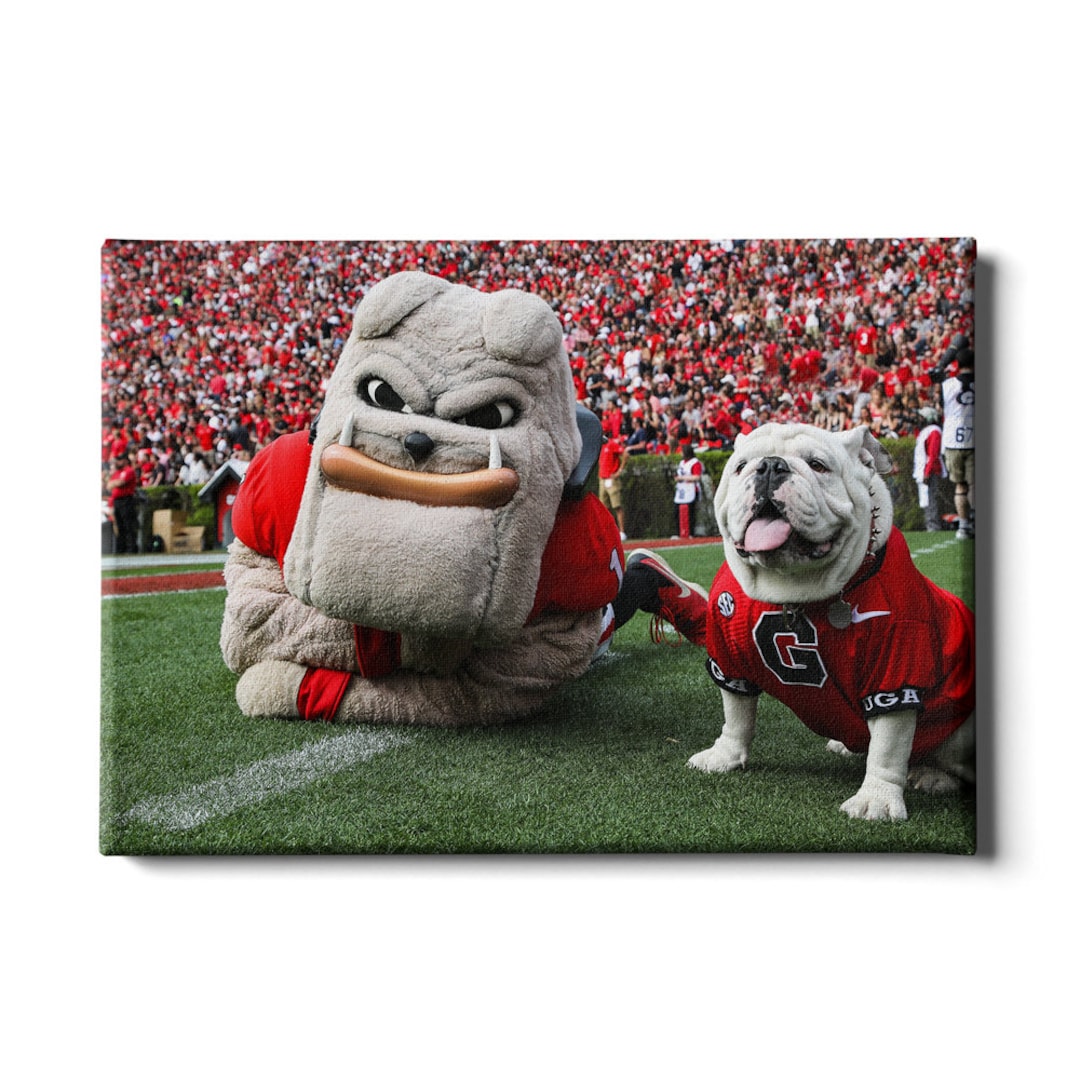 Georgia Bulldogs Wall Art | Uga Mascot, College Football Decor - Etsy