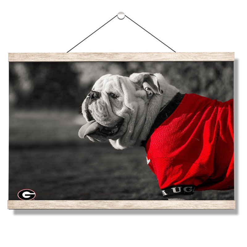 Uga - Etsy