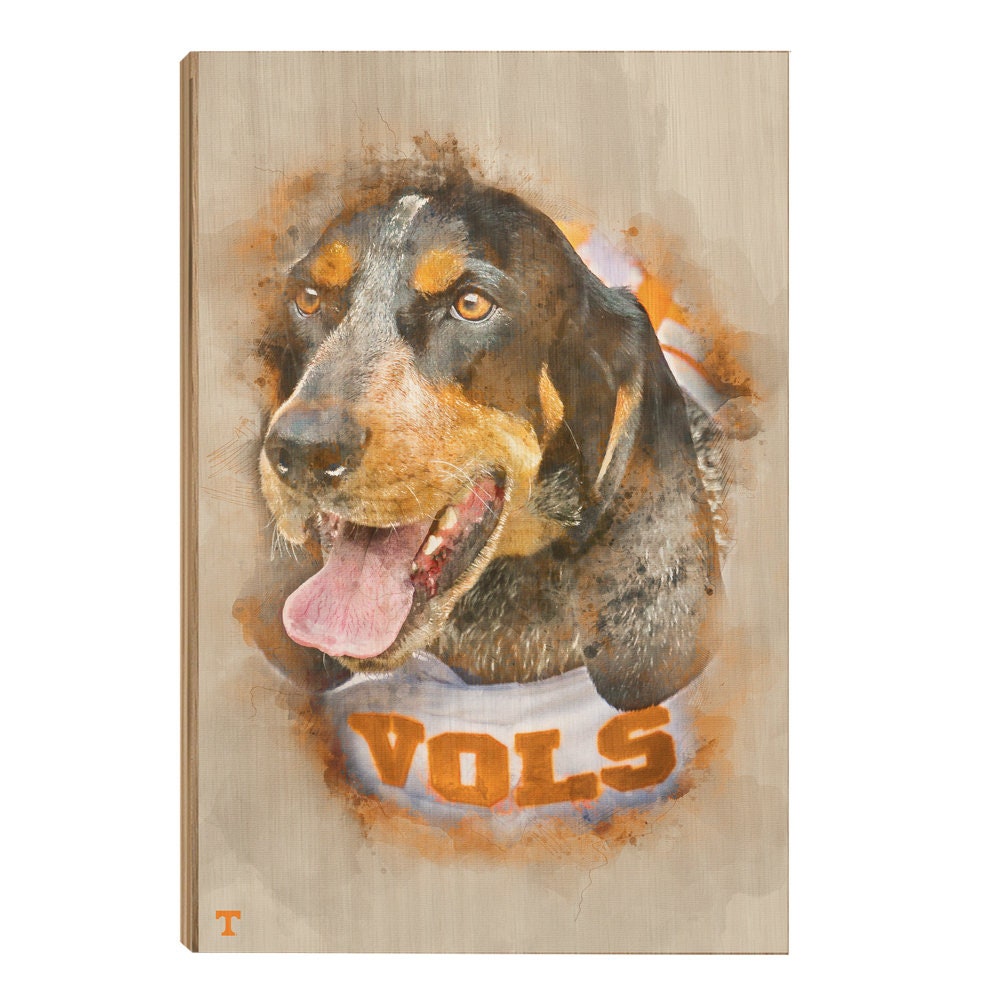 Tennessee Volunteers Smokey Watercolor Smokey Mascot UT | Etsy