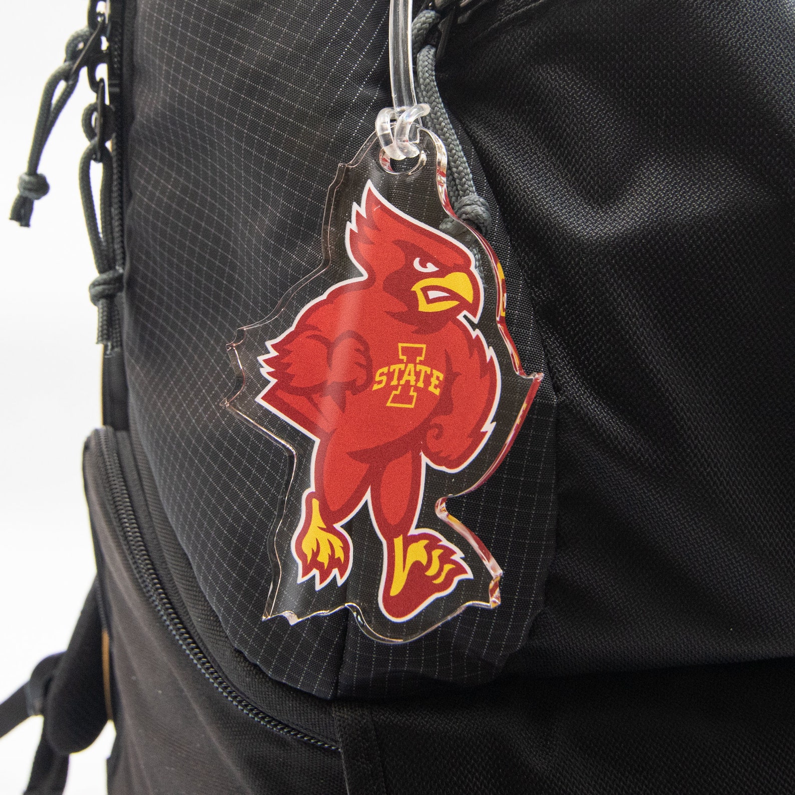 Iowa State University Cyclones Mascot Cy the Cardinal - Etsy