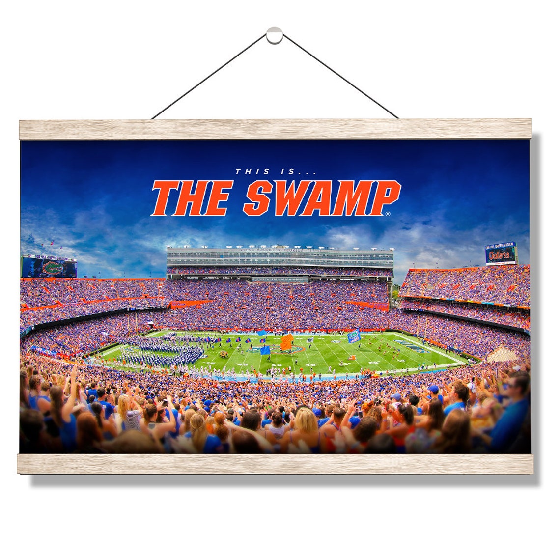 Florida Gators the Swamp Hanging Canvas Ben Hill Griffin - Etsy