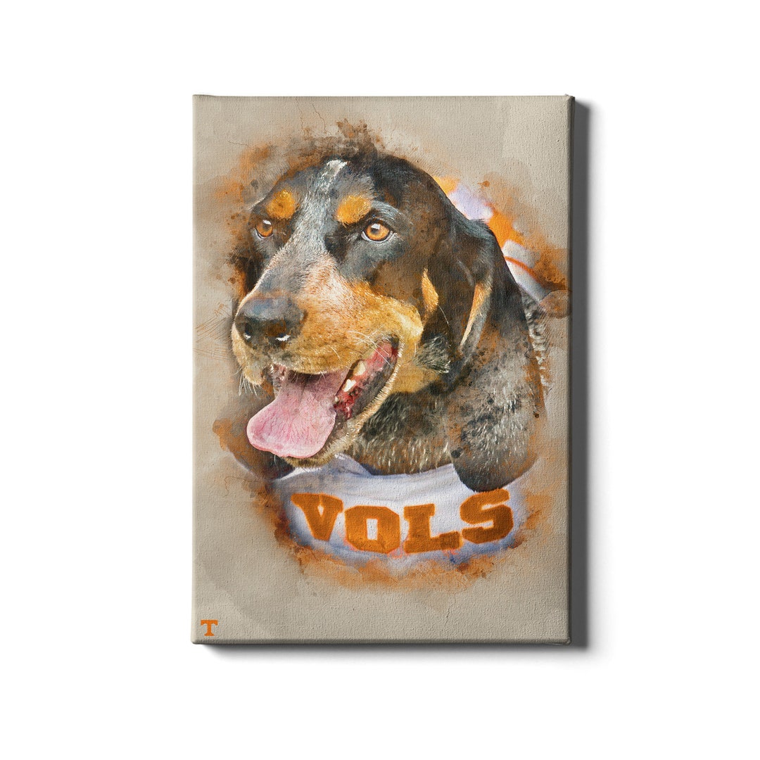 University of Tennessee | Smokey Watercolor | Tennessee Volunteers ...