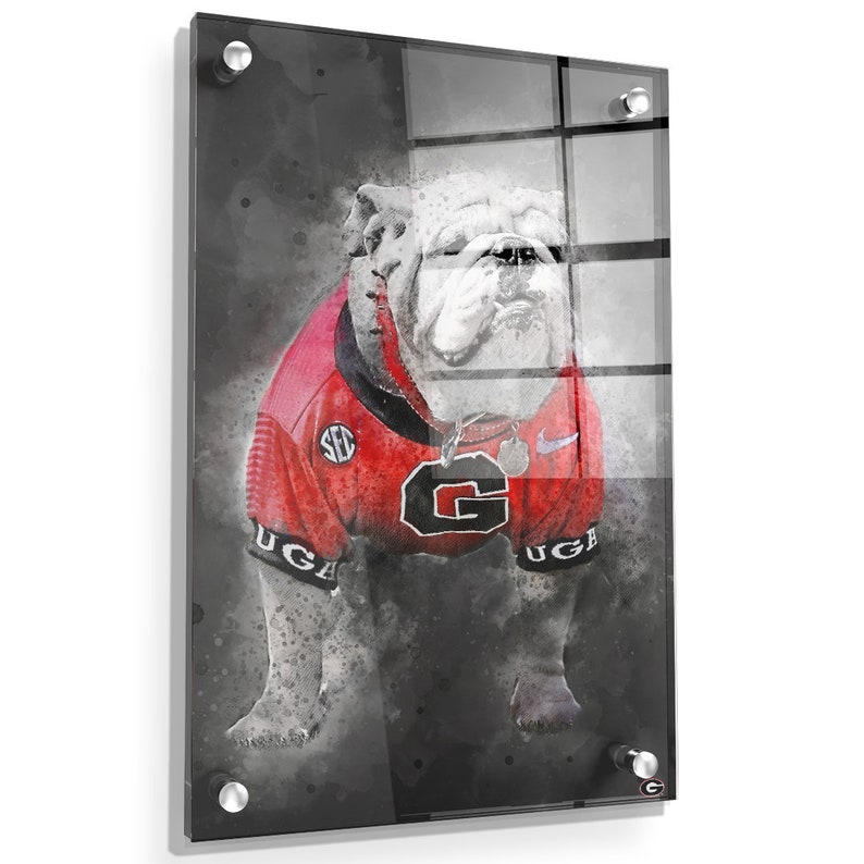 Georgia Bulldogs Uga Mascot Art | Canvas, Metal, Acrylic Wall Decor - Etsy