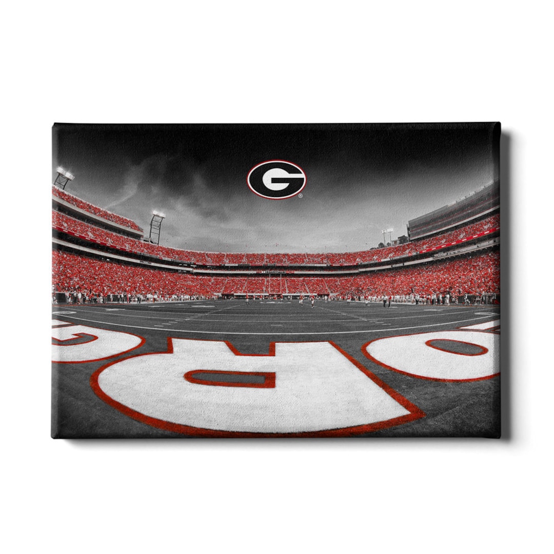 Georgia Bulldogs Sanford Stadium Wall Art | Canvas, Metal, Acrylic - Etsy