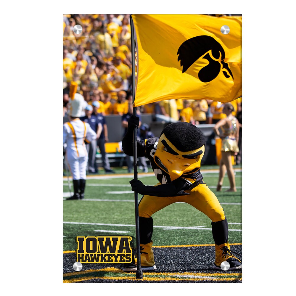 Iowa Hawkeyes Herky Mascot | Kinnick Stadium Art (canvas, Metal ...