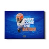 University of Florida Gator Hanging Canvas Florida Gators UF the Swamp ...