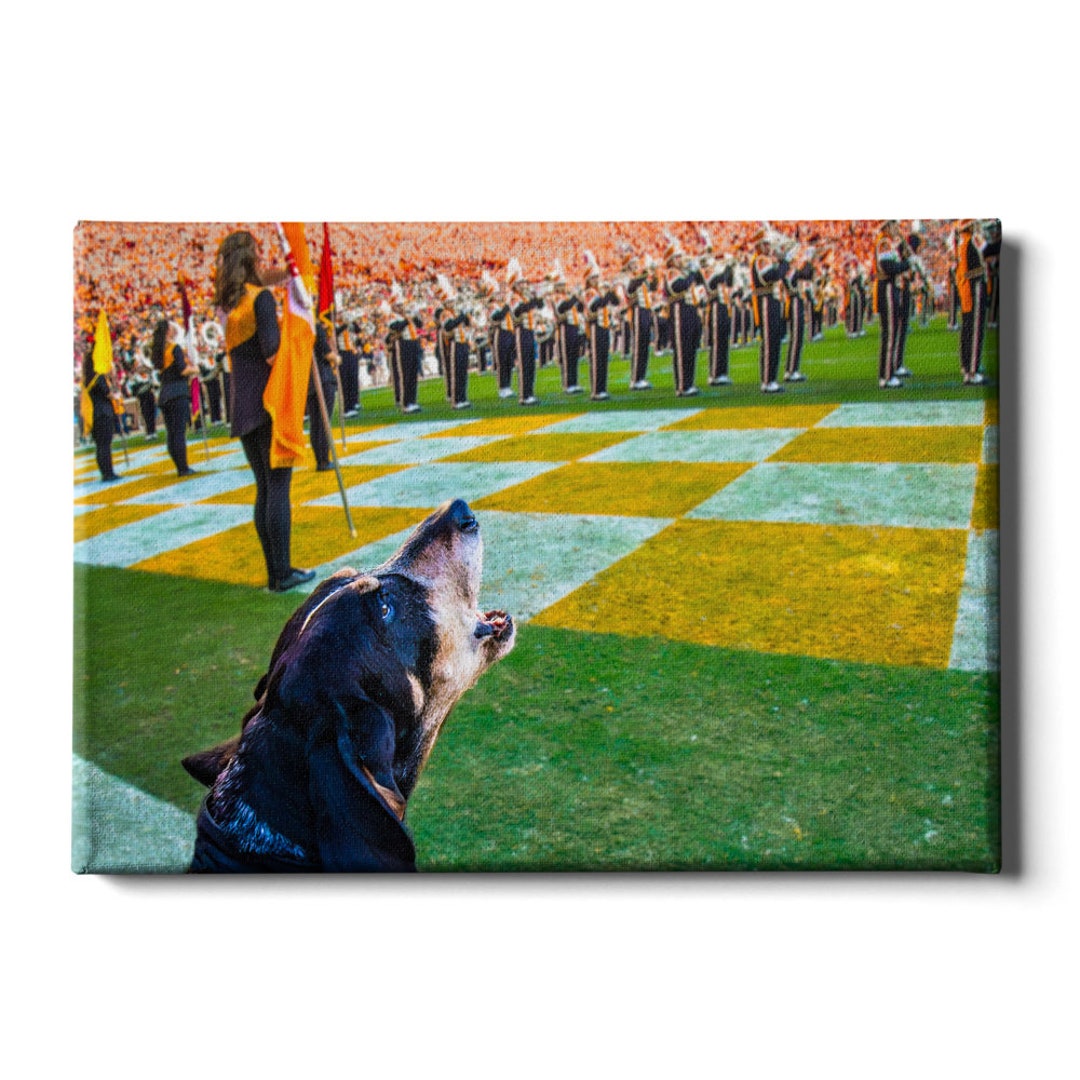 Tennessee Volunteers | Smokey | Neyland Stadium | Pride of the ...