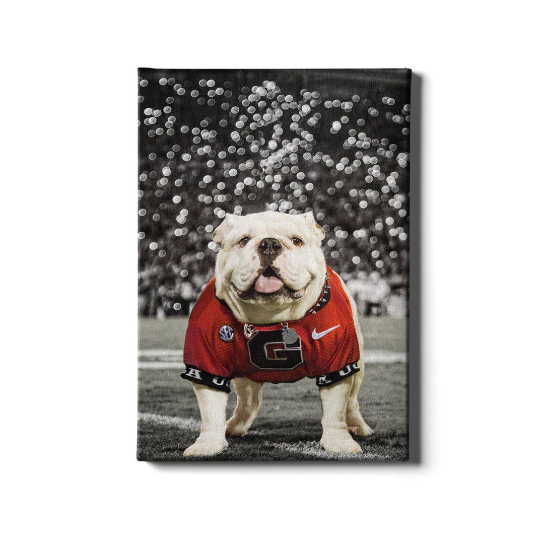 Uga Mascot Canvas Wall Art | Georgia Bulldogs Decor - Etsy