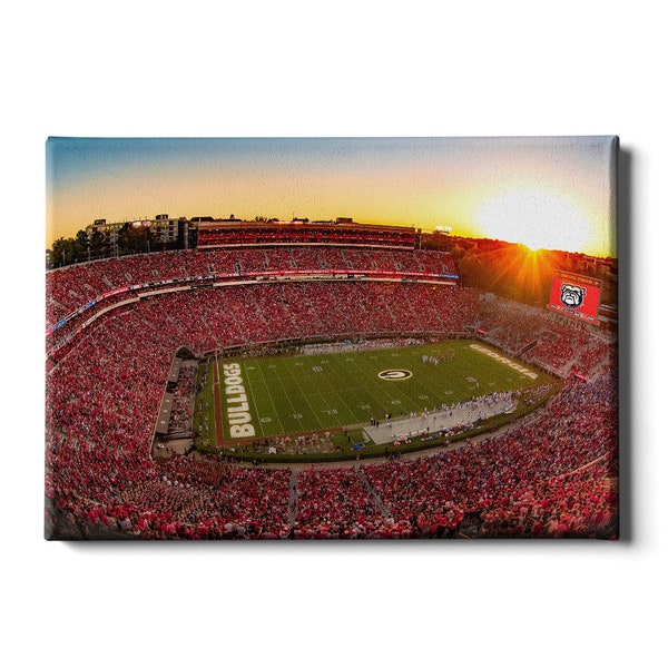 Sanford Stadium Wall Art - Etsy