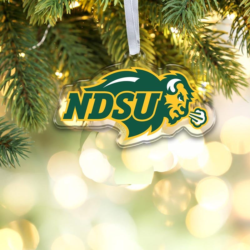 Ndsu Bison Decor - Etsy