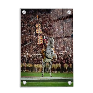 Florida State Seminoles | FSU | Chief Osceola | Renegade | Canvas Wall ...
