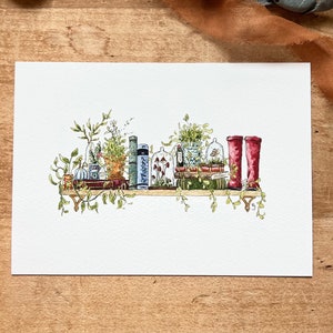 The Mini Botanist's Shelf Giclée Print - Etsy