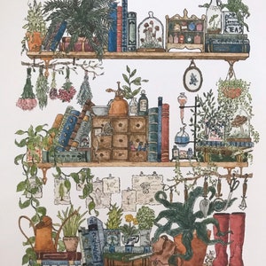 The Botanist's Shelves Postcard - Watercolor Natural History Postcard ...