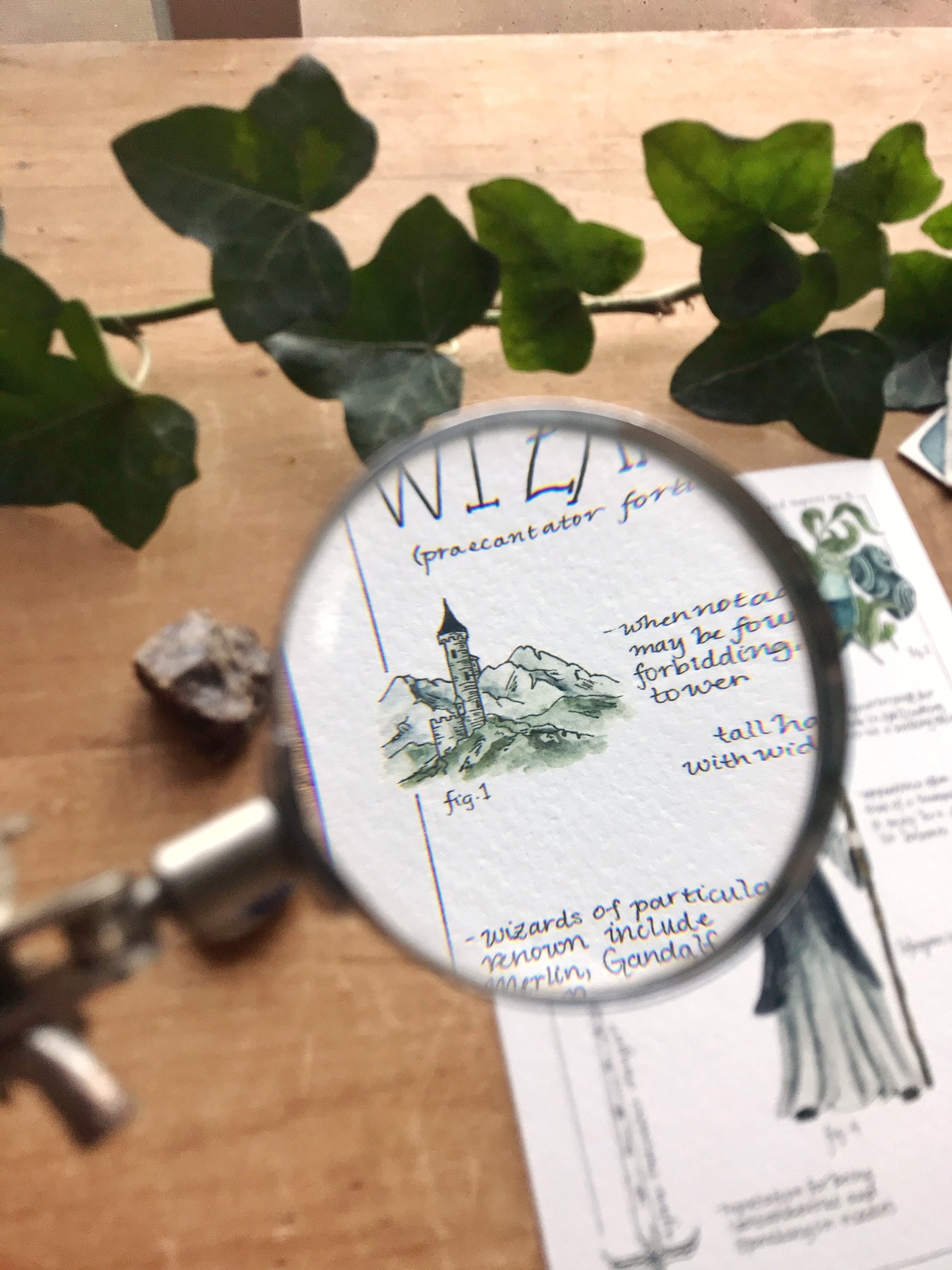 Wizard Field Report - Giclée Print - Etsy