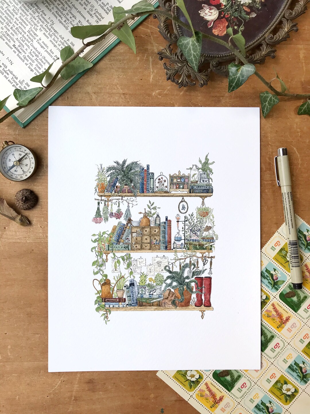 The Botanist's Shelves Giclée Print - 8x10" - Etsy