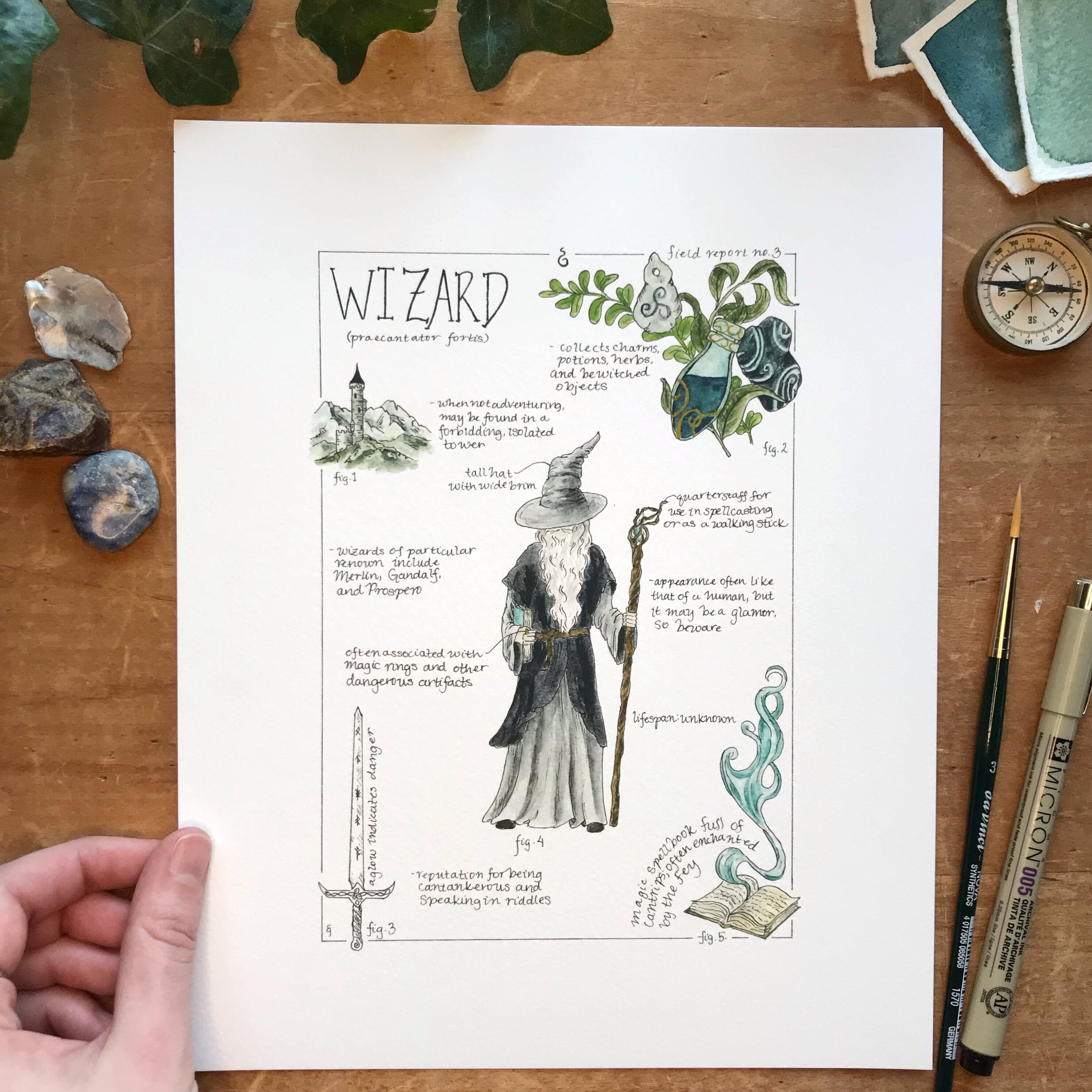 Wizard Field Report - Giclée Print - Etsy