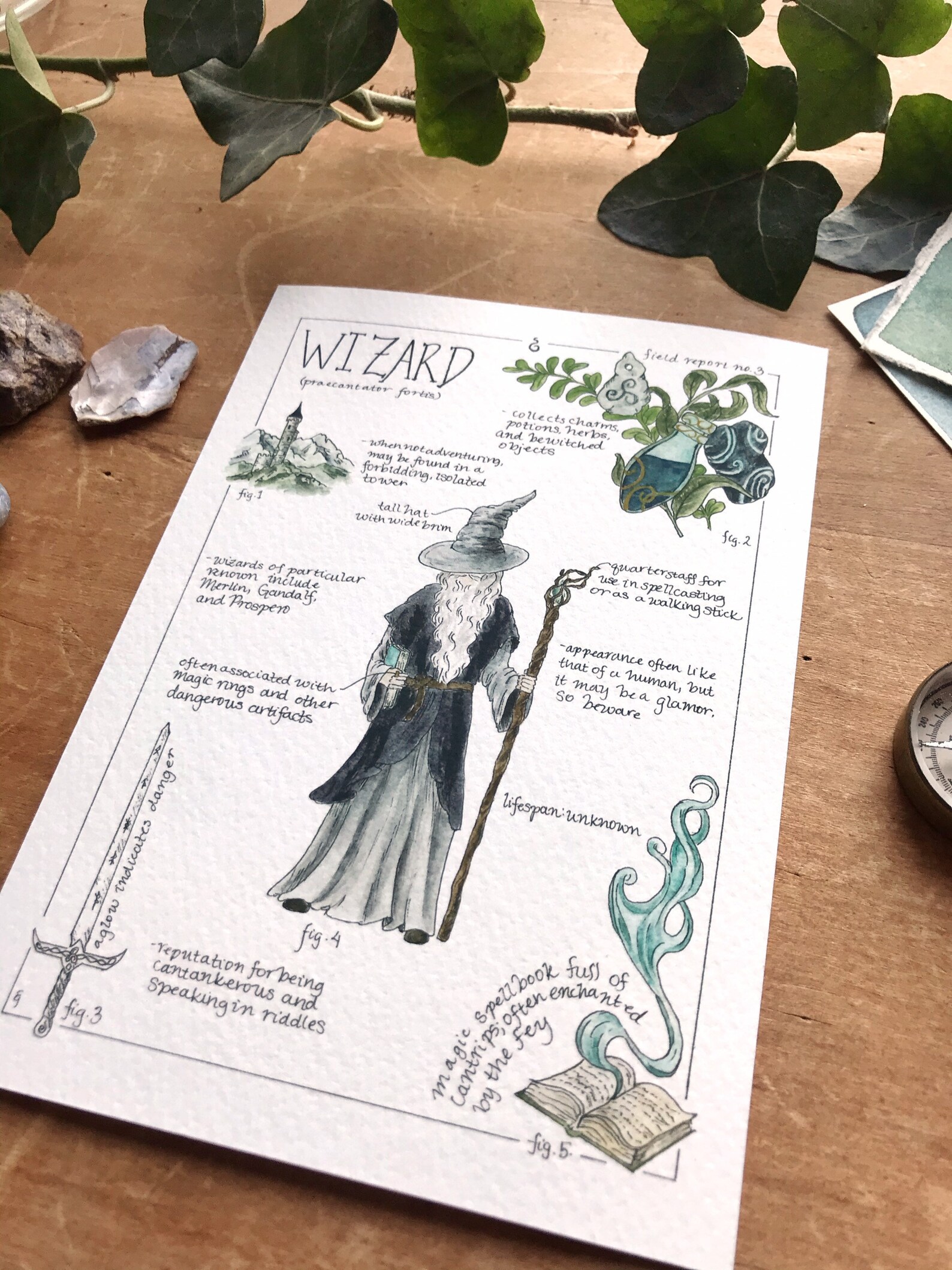 Wizard Field Report - Giclée Print - Etsy