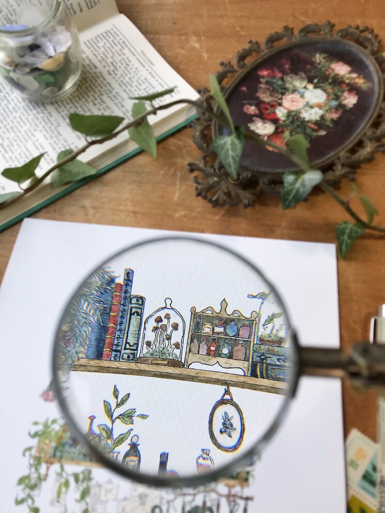 The Botanist's Shelves Giclée Print 8x10 | Etsy